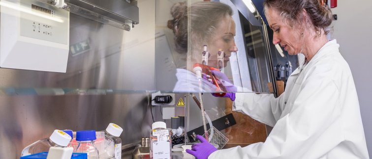 Vivi Heine on the potential of stem cell research | Amsterdam UMC